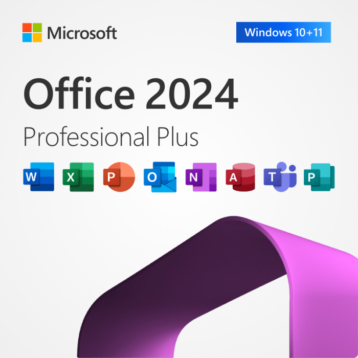 Microsoft Office Professional Plus – Lifetime License for Windows and ...
