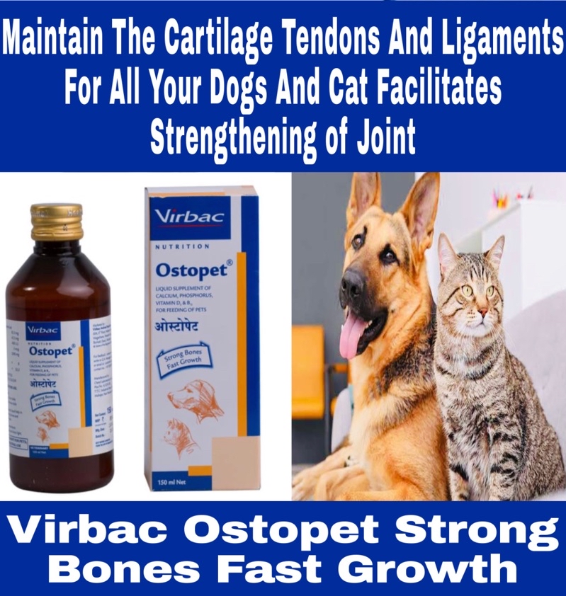 Virbac Ostopet Calcium Supplement For Dogs & Cats 150 Ml | Shopee ...