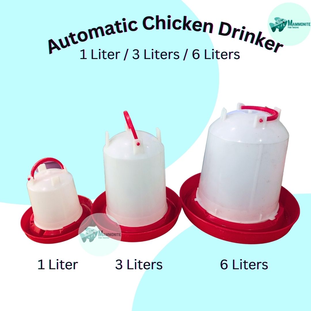 Automatic Chicken Drinker Poutlry Water Available in 750ml, 1.5L, 3 ...