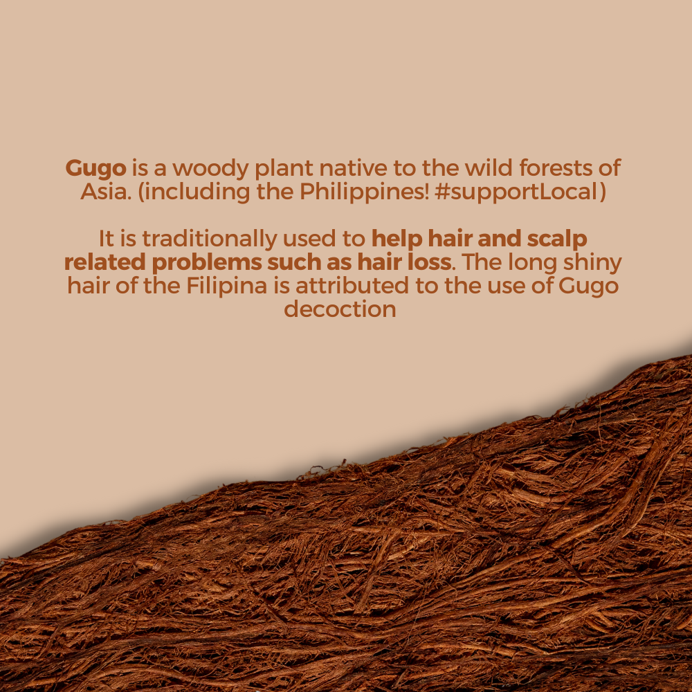 Zenutrients Gugo Strengthening Set (Anti-Hairfall Shampoo and Serum ...