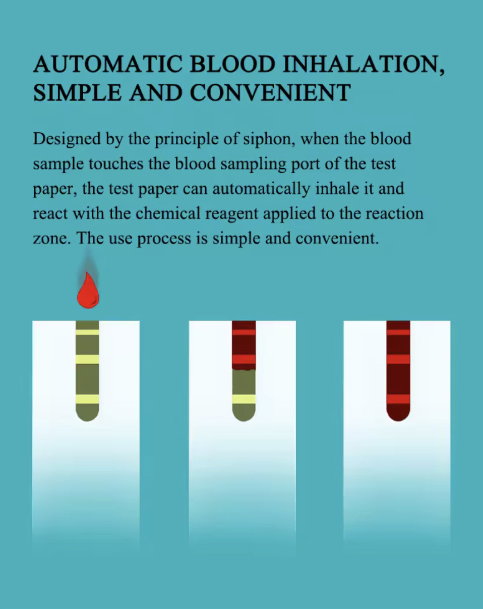 Surgitech Blood Glucose Test Strips BS-102 | Shopee Philippines