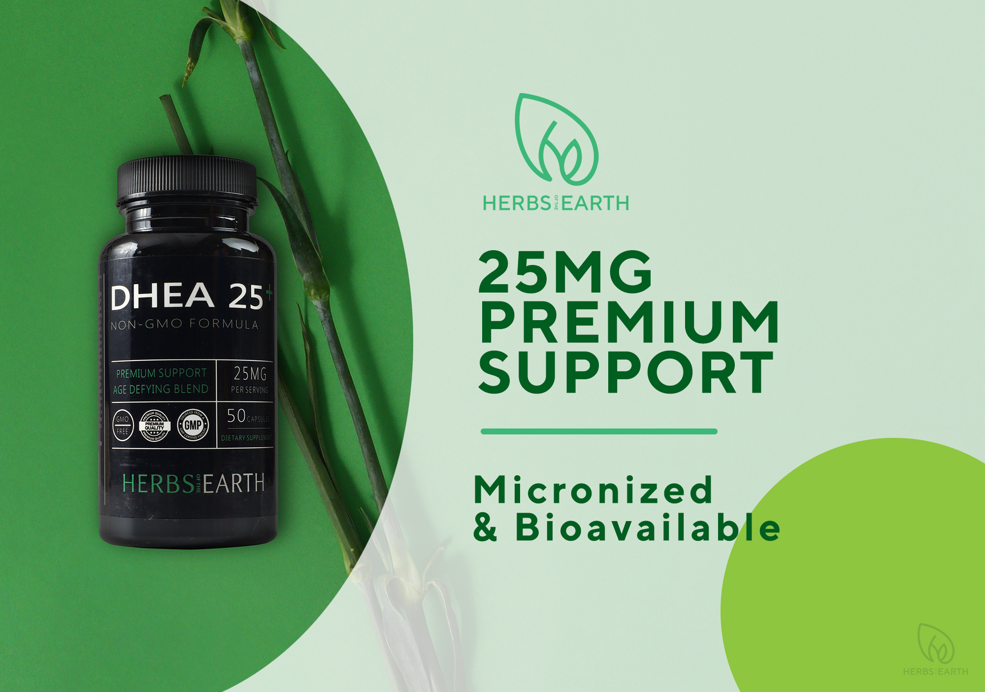 DHEA 25mg Micronized, Bioavailable, Aging Support 50 Capsules from ...
