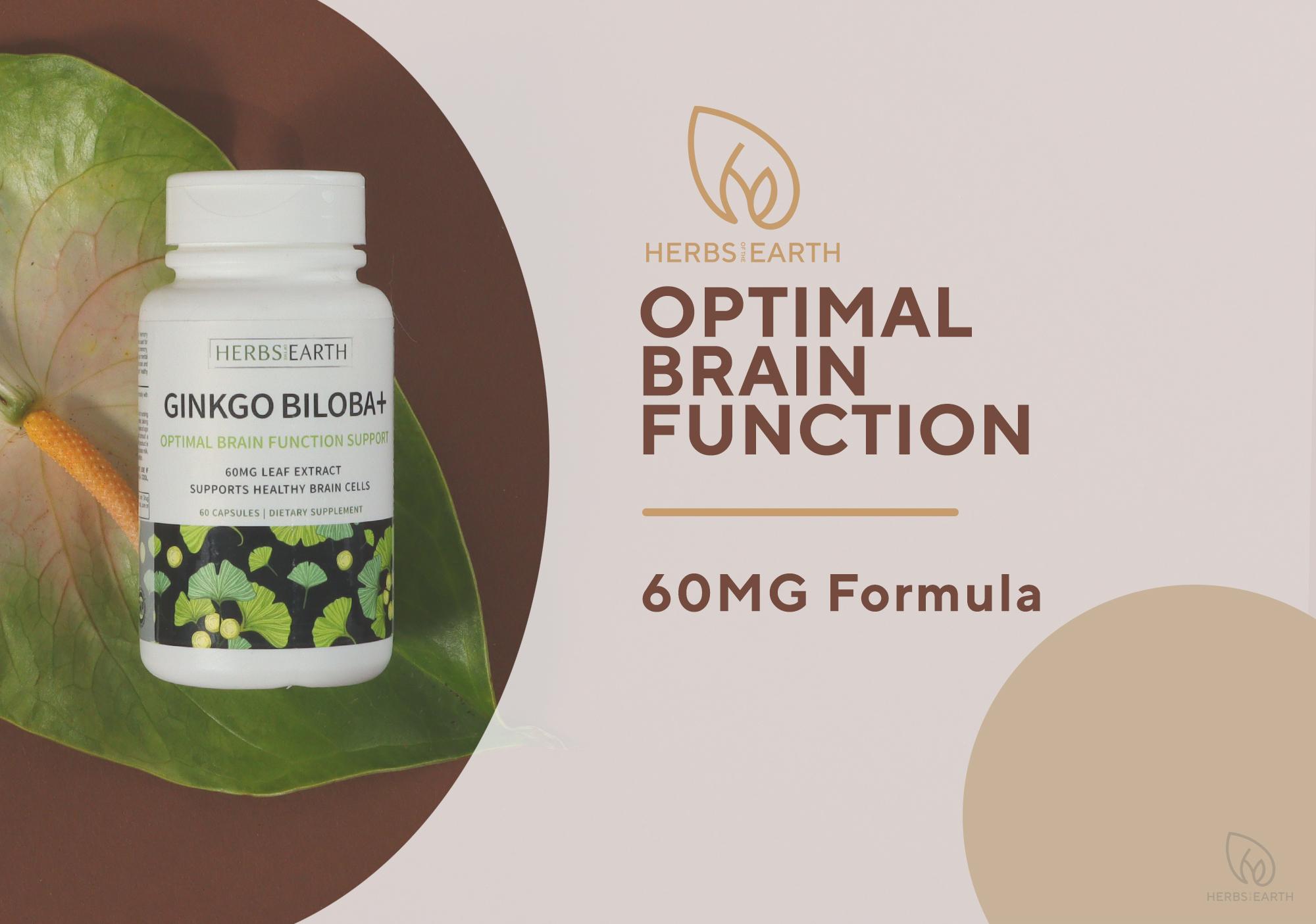 GINKGO BILOBA + 60mg 6% Terpenes Optimal Brain Function Support 60 Caps ...