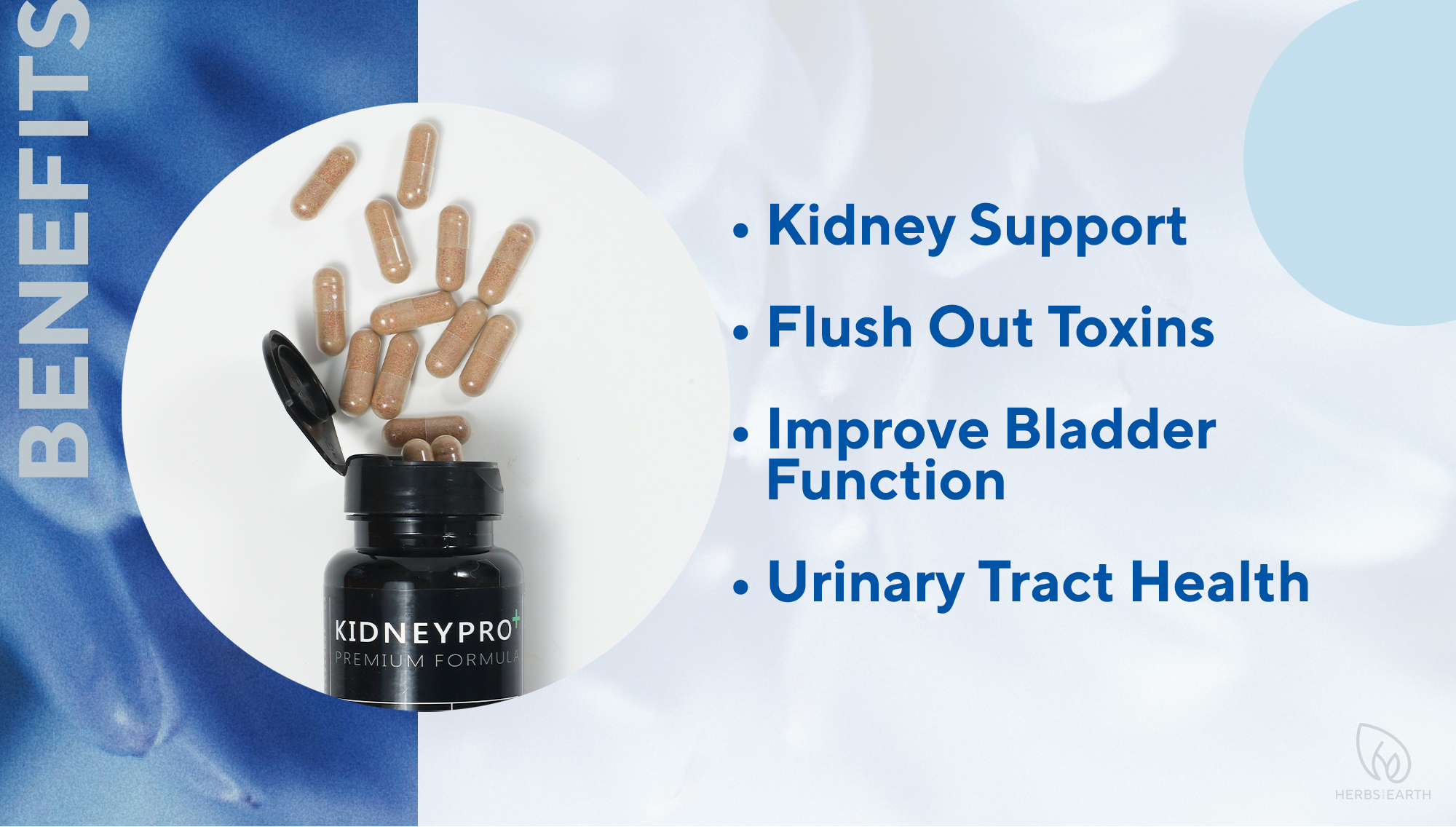 KIDNEY PRO 700mg Non-GMO VitaCran Kidney Care & Urinary Tract Support ...