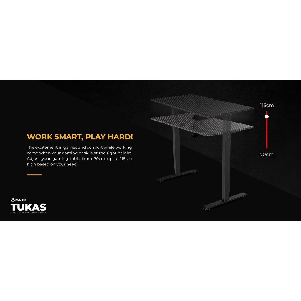 RAKK TUKAS/XL 100cmX60cm/140cmX60cm Gaming Table| Electric Lifting ...