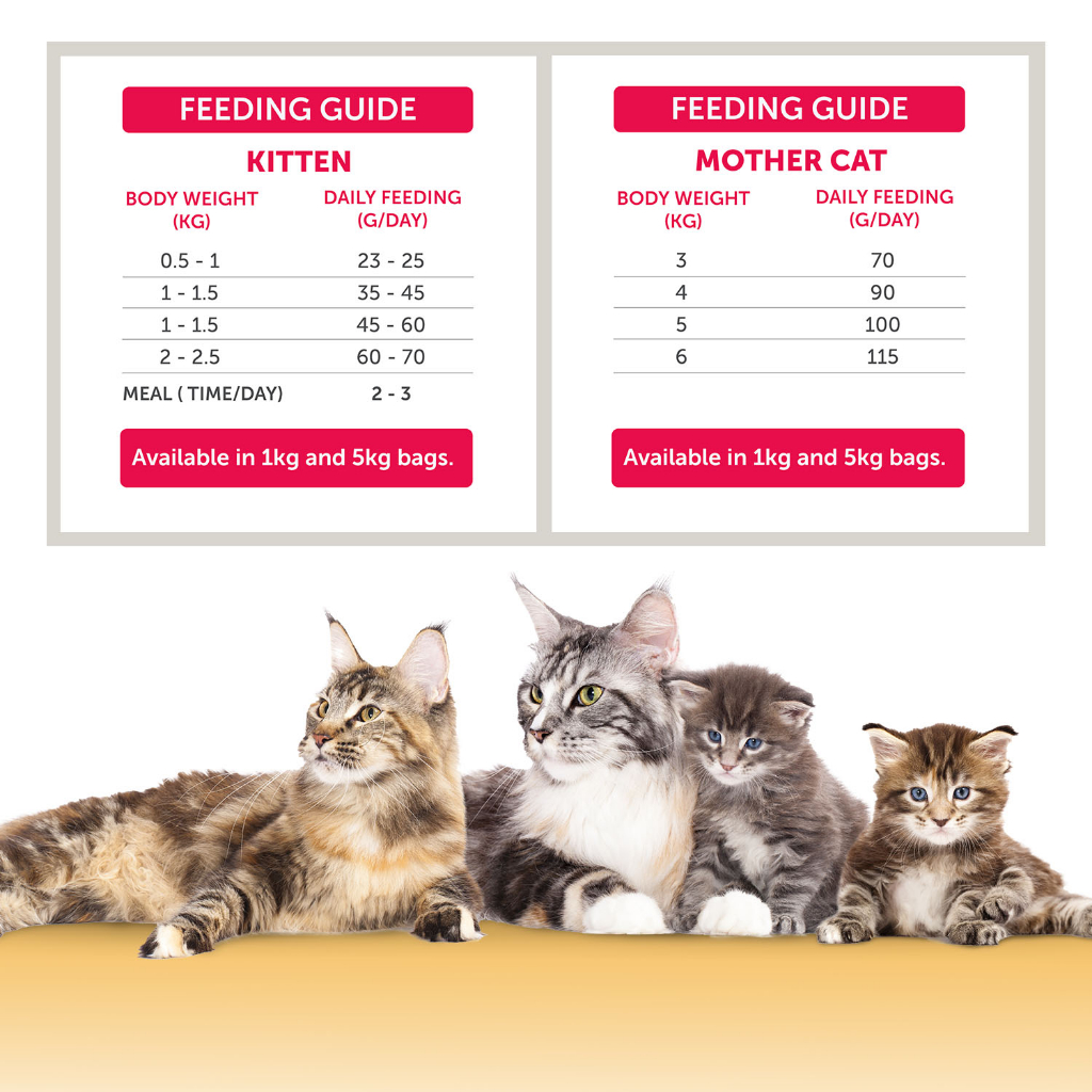 Maixime Elite Premium Cat Food 5KG All Life Stages Made w/ Real Milk ...