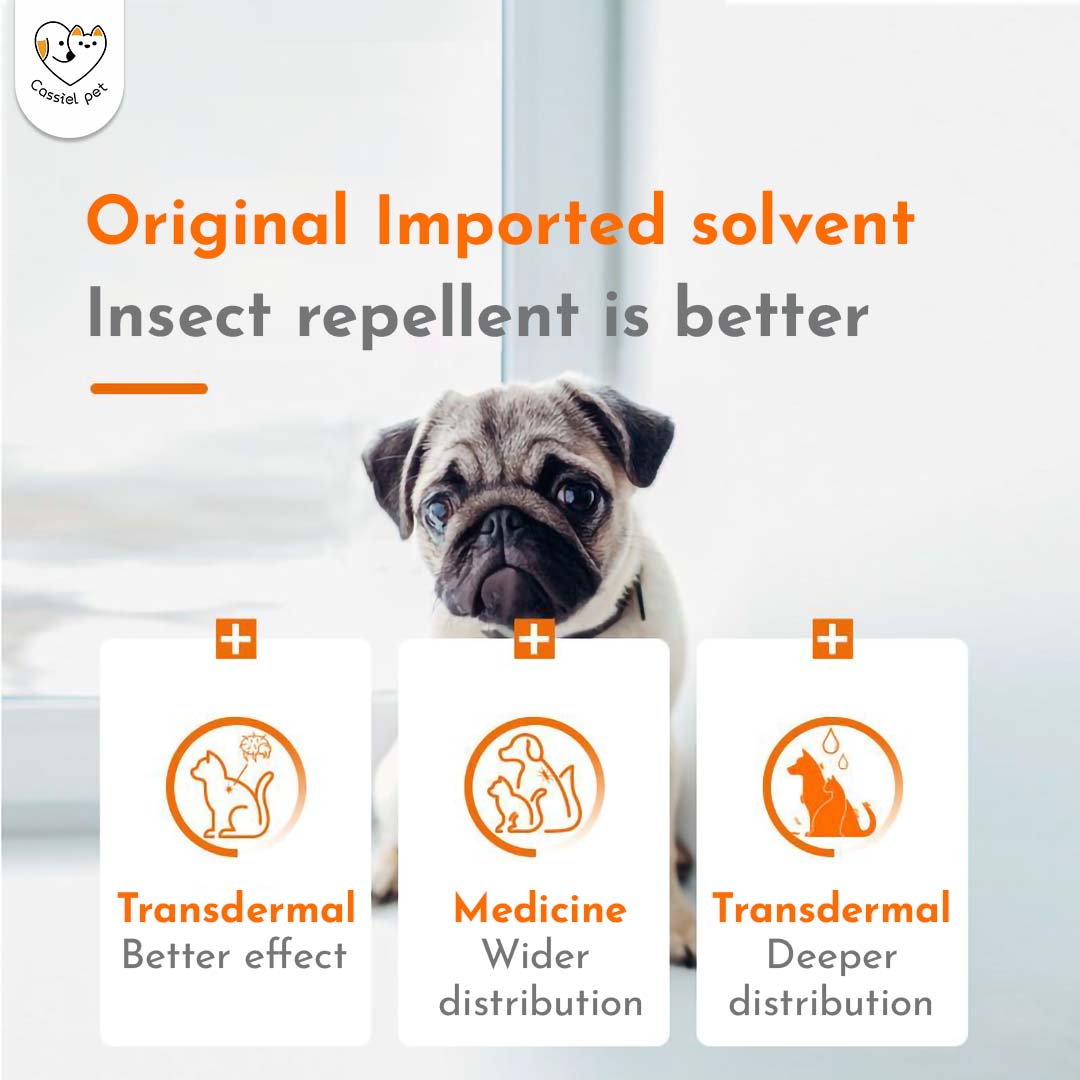 CASSIEL PET Tick And Flea Spot Treatment For Cats & Dogs Repellent Anti ...