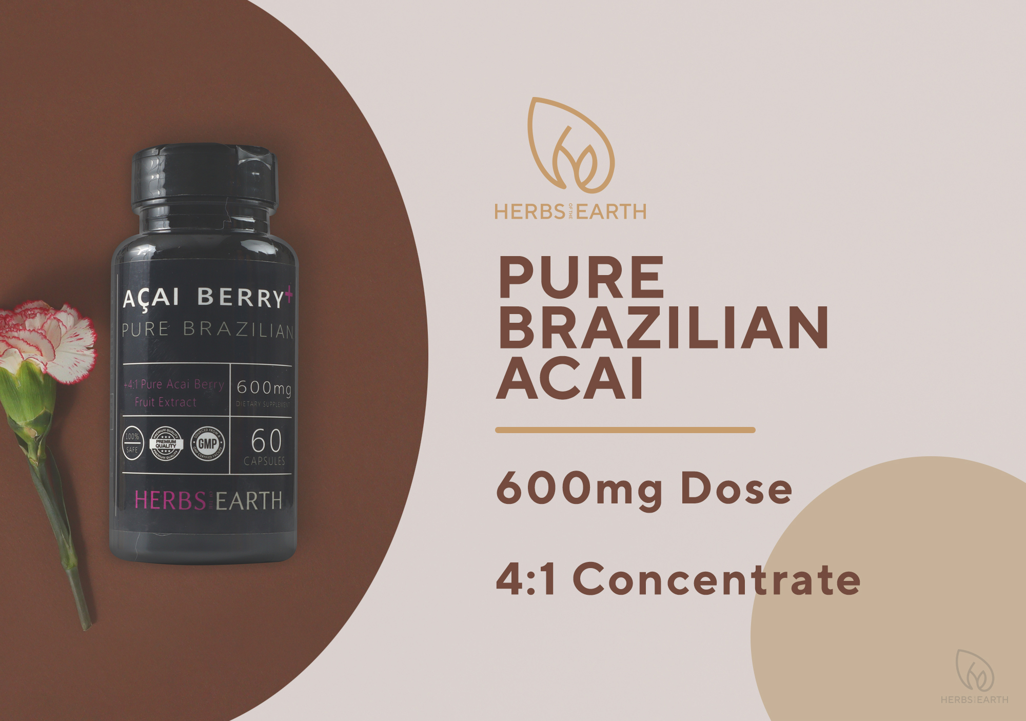 Acai Berry+ Fruit Extract 600mg NSF Certified Antioxidant 60 caps, USA ...