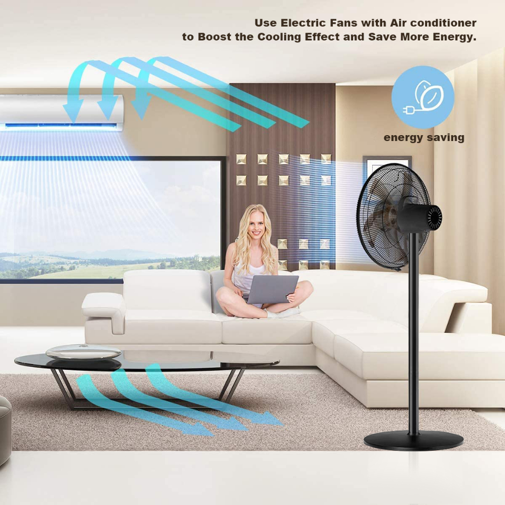 Gold Star 1-2pcs 16 Inch Portable Electric Fan - Stand Fan and Wall Fan ...