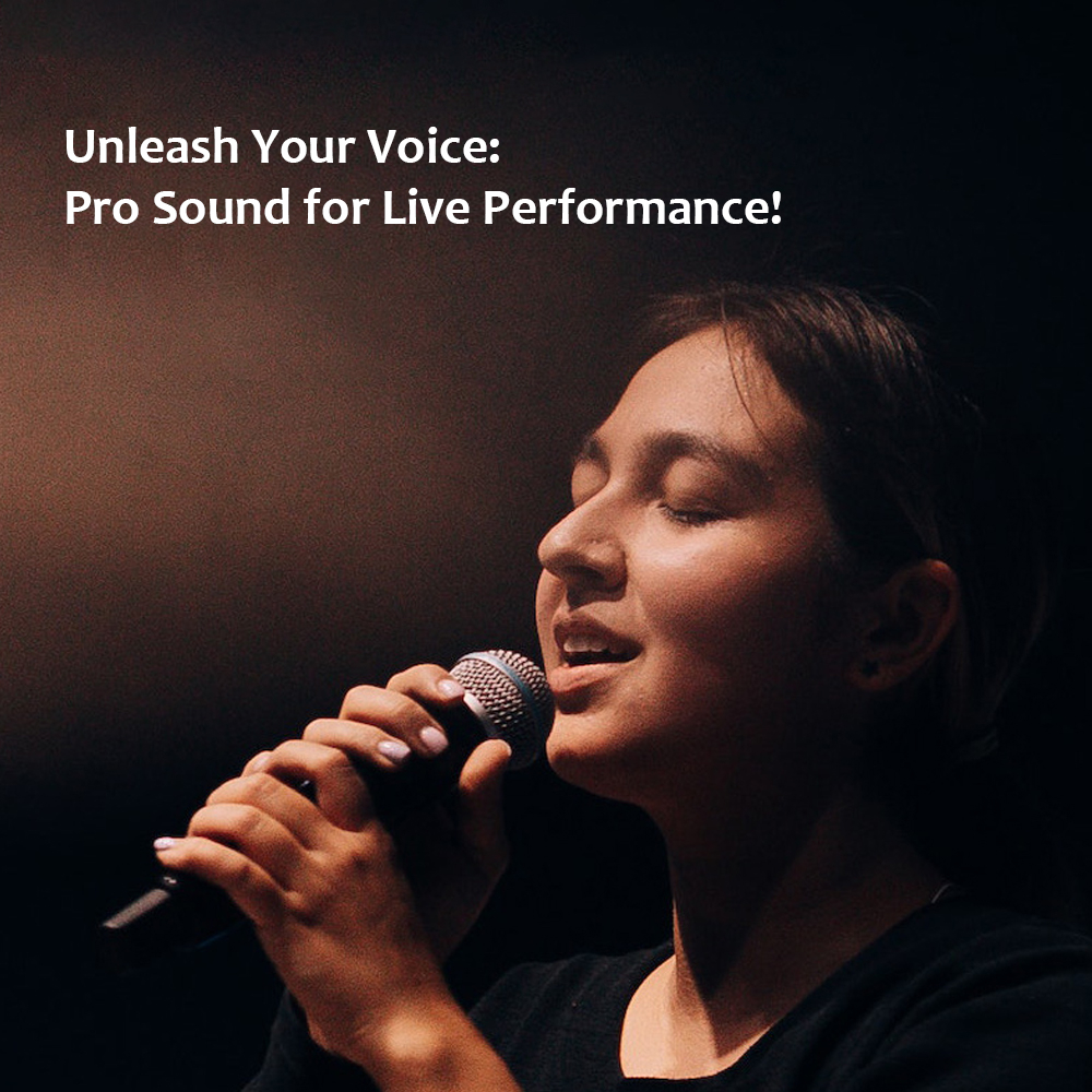 【V8s+Dual wireless microphone】V8 sound card with wireless microphone ...