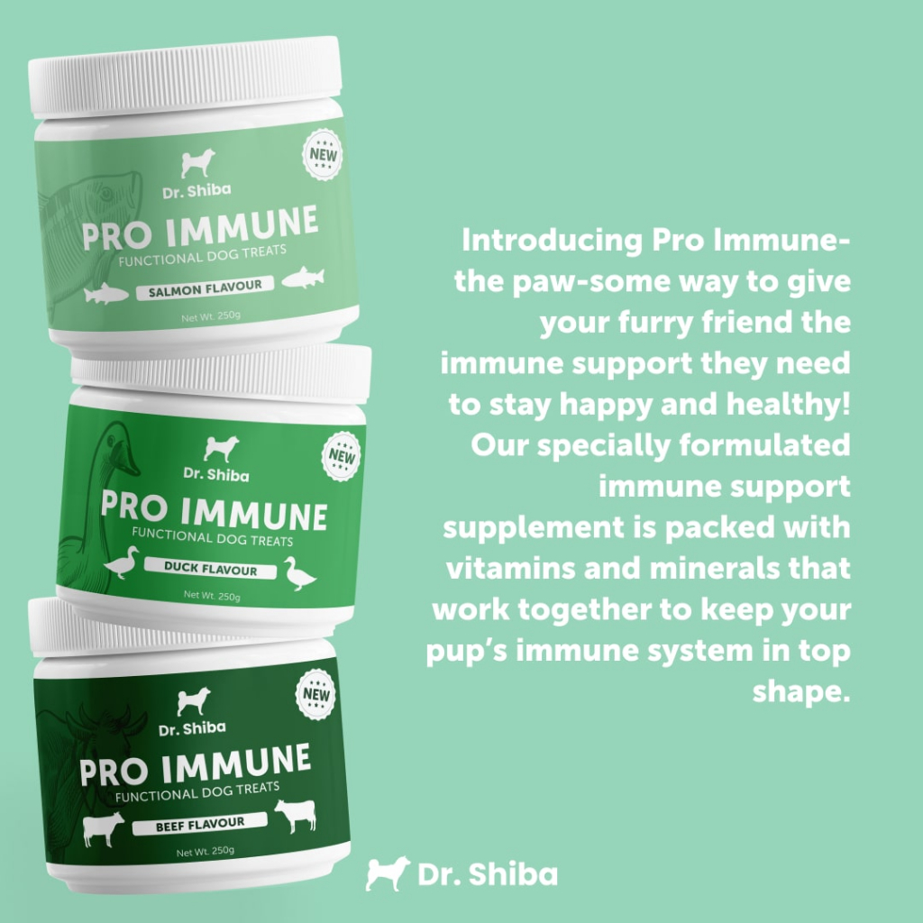 Dr Shiba Pro Immune Healthy Dog Treats Snack: Dog Multivitamins - Dog ...