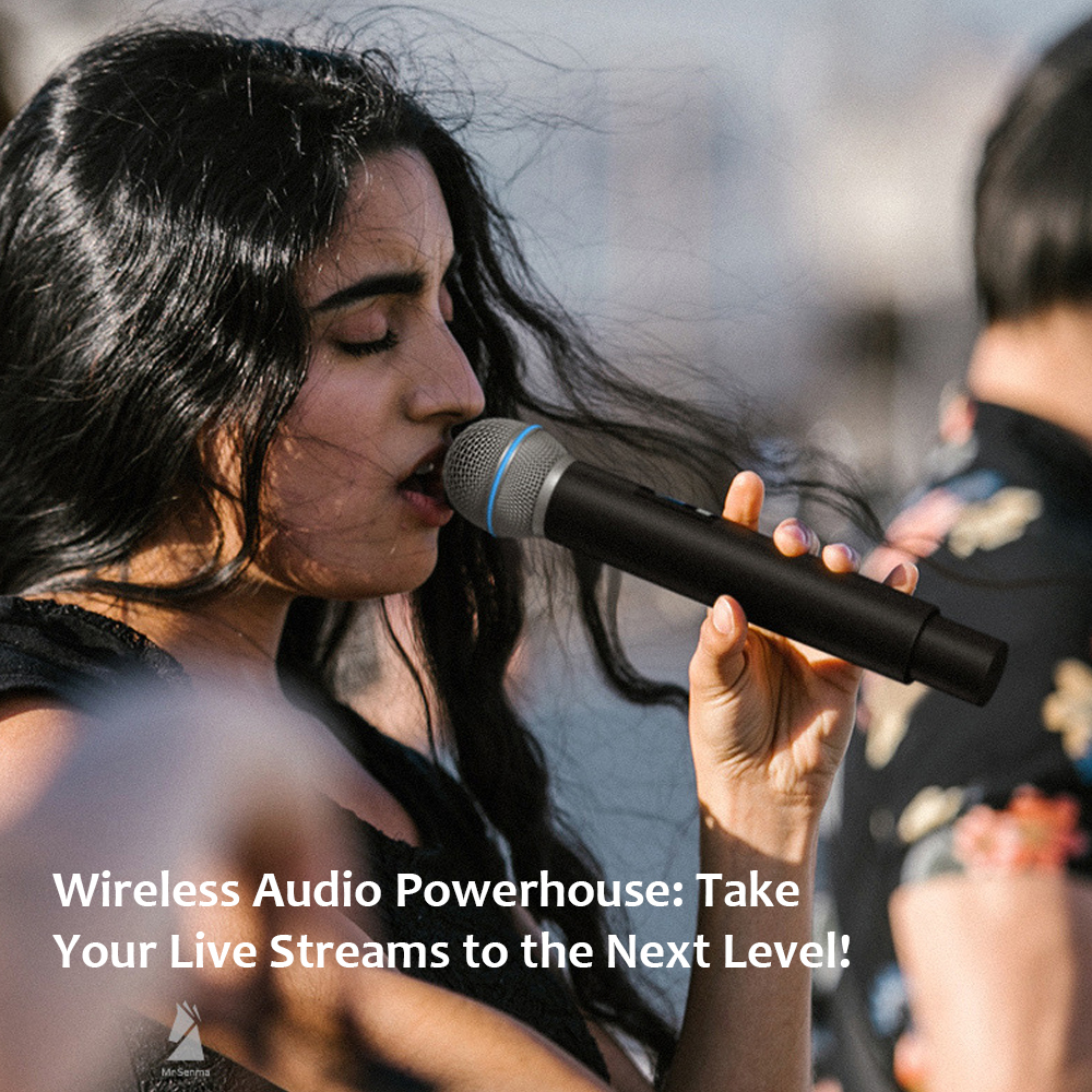 【V8s+Dual wireless microphone】V8 sound card with wireless microphone ...