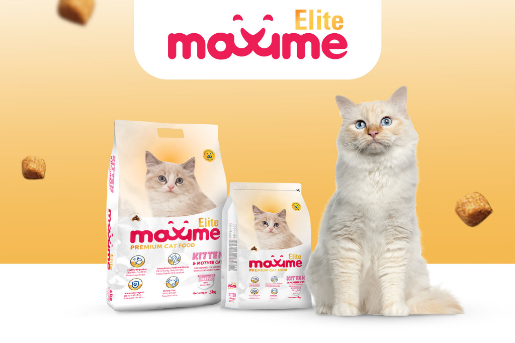 Maixime Elite Premium Cat Food 5KG All Life Stages Made w/ Real Milk ...