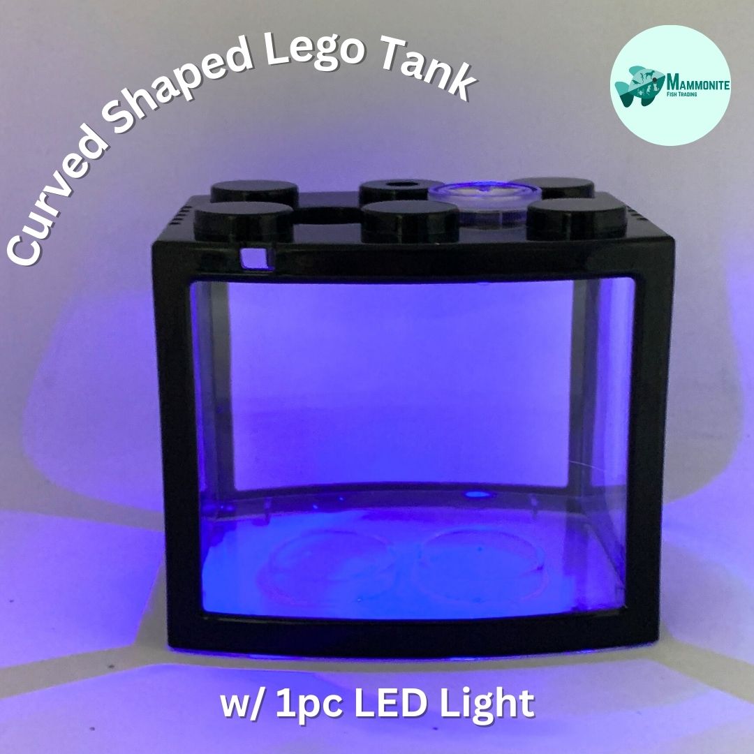 Aquarium Mini Tank Curved Lego Stackable Mini Aquarium Tank for Betta ...