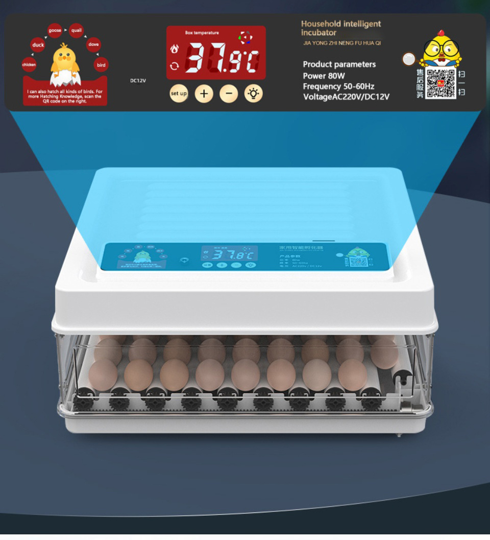 JF Egg Incubator Fully Automatic Egg Incubator Intelligent Digital ...
