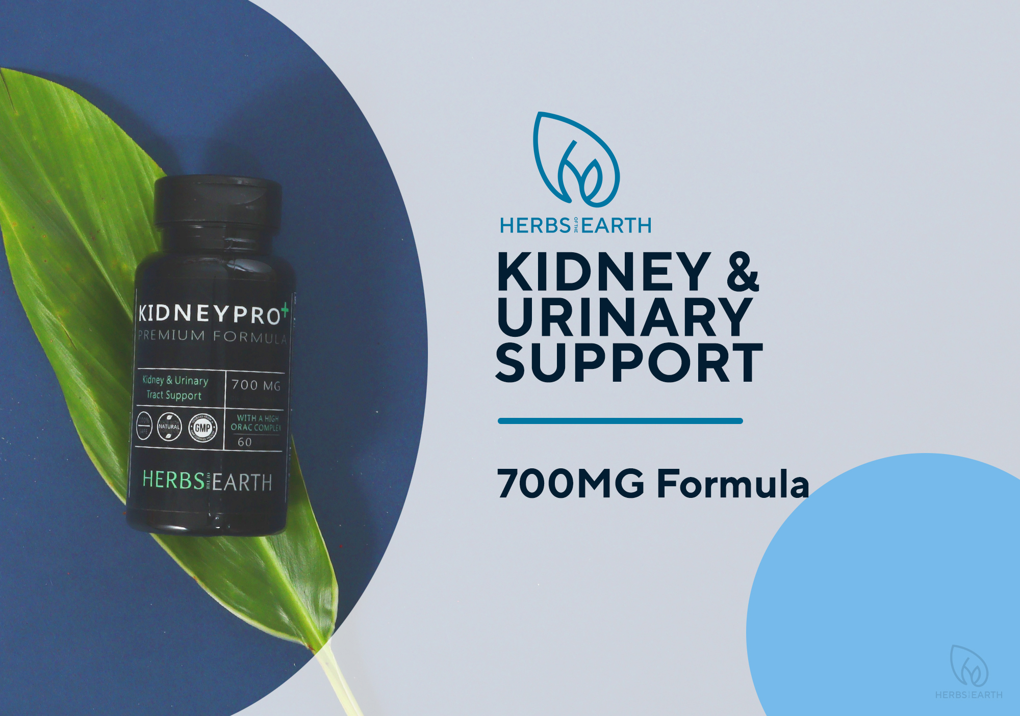 KIDNEY PRO 700mg Non-GMO VitaCran Kidney Care & Urinary Tract Support ...