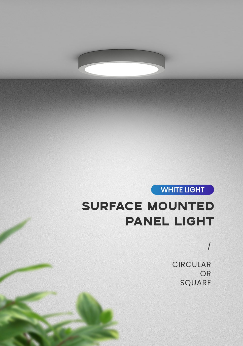 Rong River 24W 18W 12W 6W Surface Pin Light LED Ceiling LED Ceiling ...