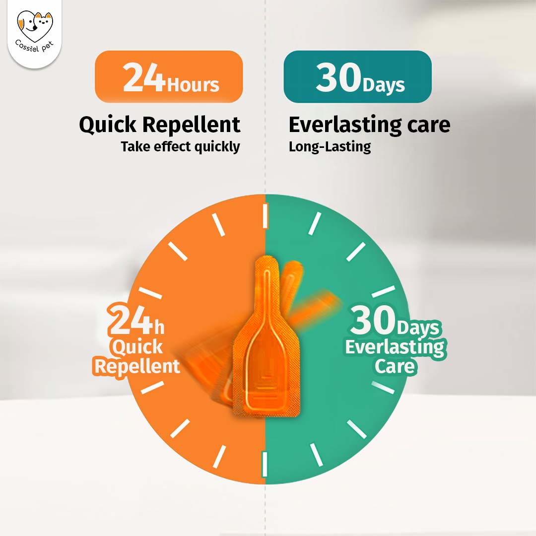 Cassiel Pet Tick and Flea Spot Treatment for Cat & Dog Anti-Flea Anti ...