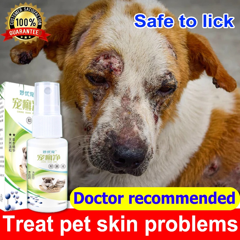 Pet Anti fungal Spray Dog Skin Disease Treatment for Tick and Flea Pet ...
