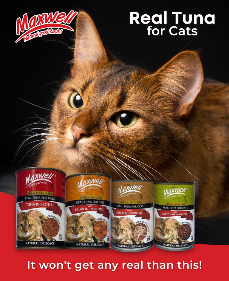 Maxwell Adult Cat Wet Food Can Tuna with Salmon in Broth 400g BUNDLE OF ...