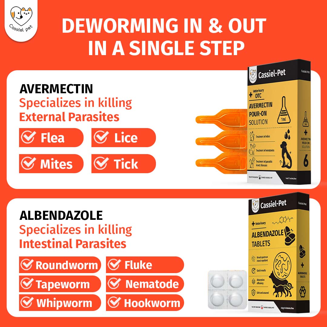 CASSIEL PET Tick And Flea Spot Treatment For Cats & Dogs Repellent Anti ...