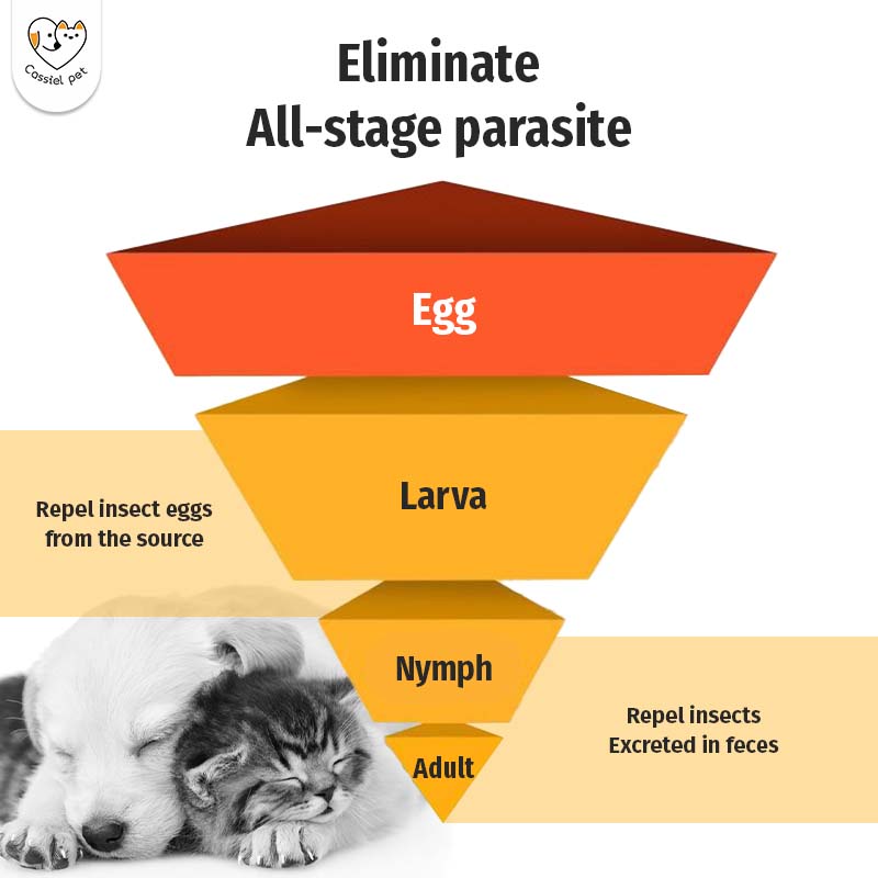 Cassiel Pet Albendazole Deworming Tablet For Nematocide Dewormer, Worm ...