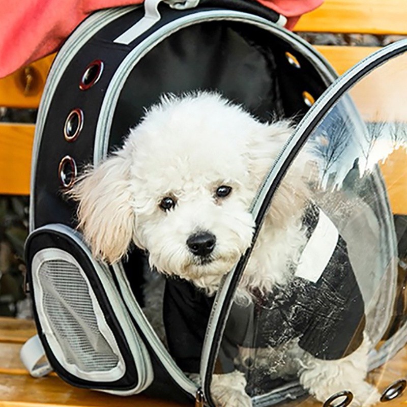 Cat Bag Carrier Portable Pet Outdoor Travel Backpack Pet Carrier Bag ...