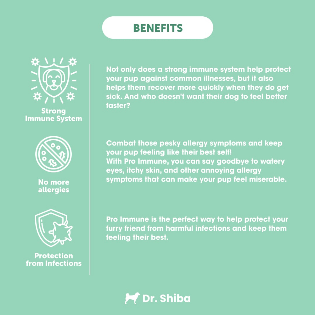 Dr Shiba Pro Immune Healthy Dog Treats Snack: Dog Multivitamins - Dog ...