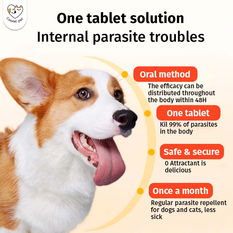 Cassiel Pet Albendazole Deworming Tablet For Nematocide Dewormer, Worm ...