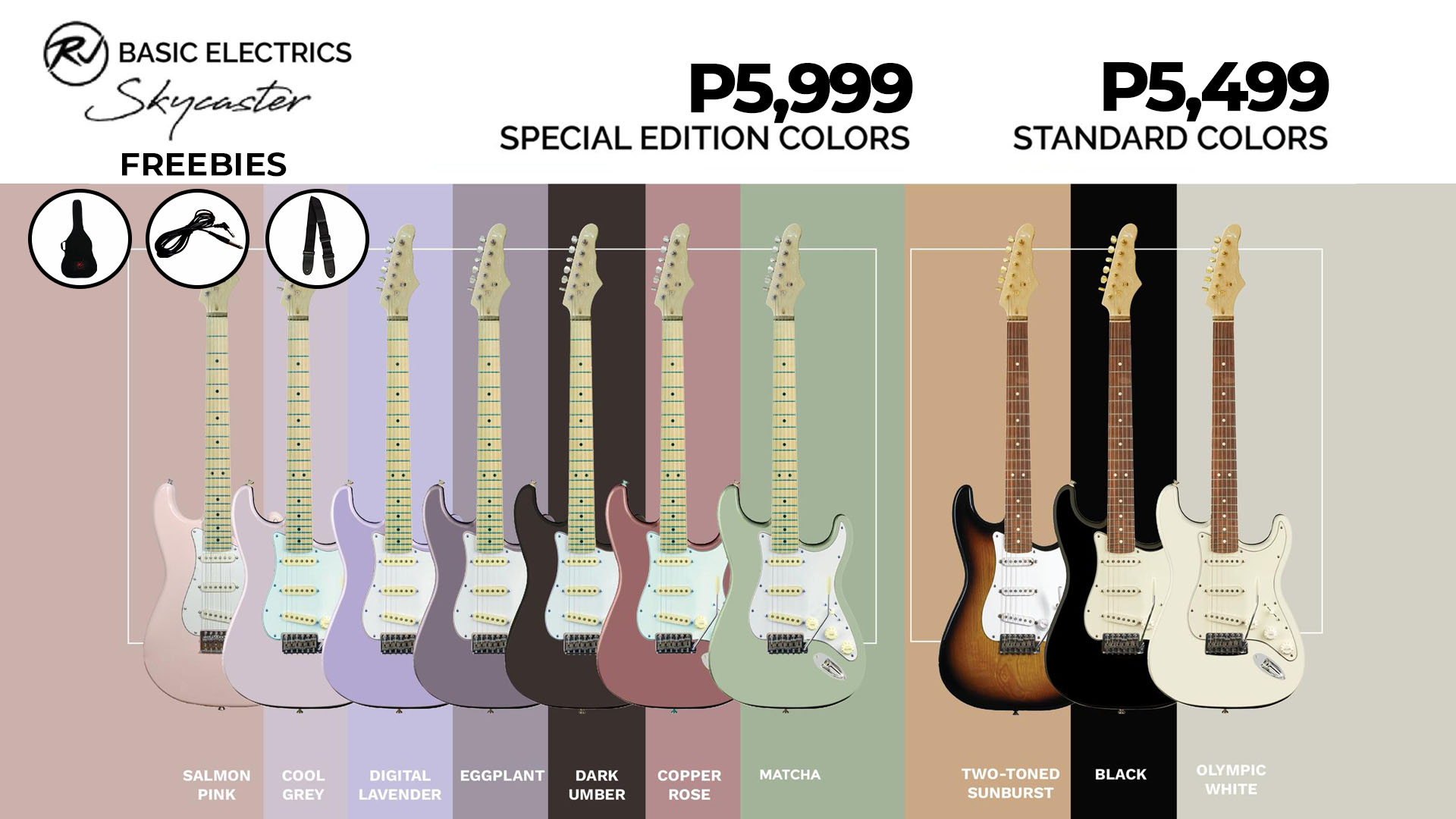 RJ Guitars Basic Electrics - Skycaster Electric Guitar (Stratocaster ...