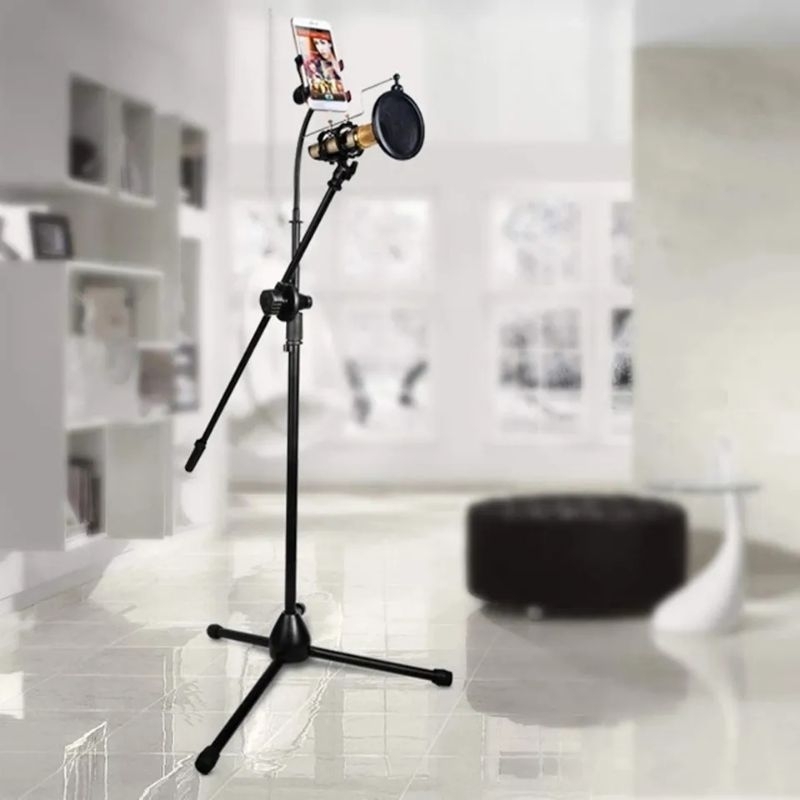 RIXTON Portable Microphone Stand Heavy Duty Adjustable Collapsible ...