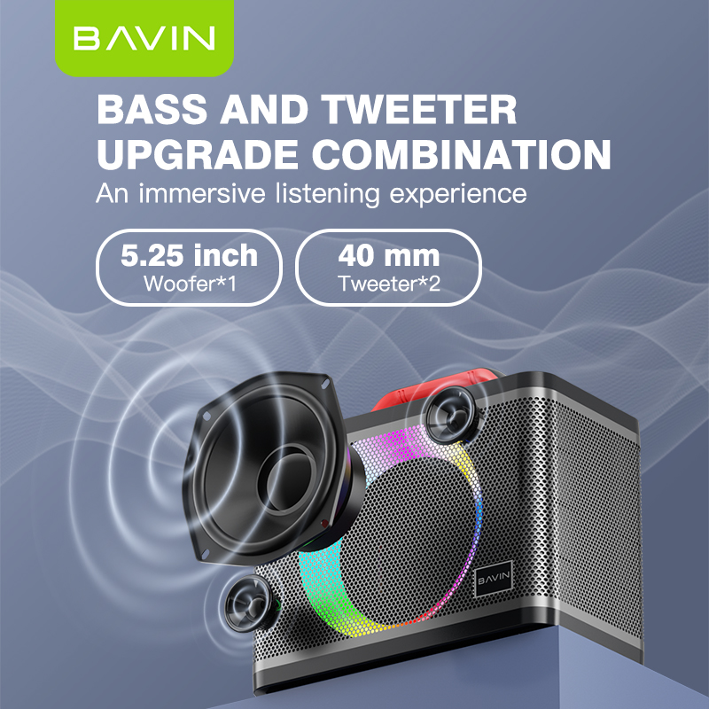BAVIN BM10 Bluetooth Wireless Portable Karaoke Speaker w/ Dual ...