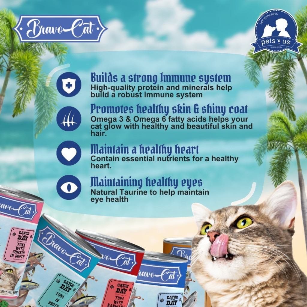All Stages Adult Kitten 400g Bravocat Real Tuna Soup Meal Cat Cats Pet ...