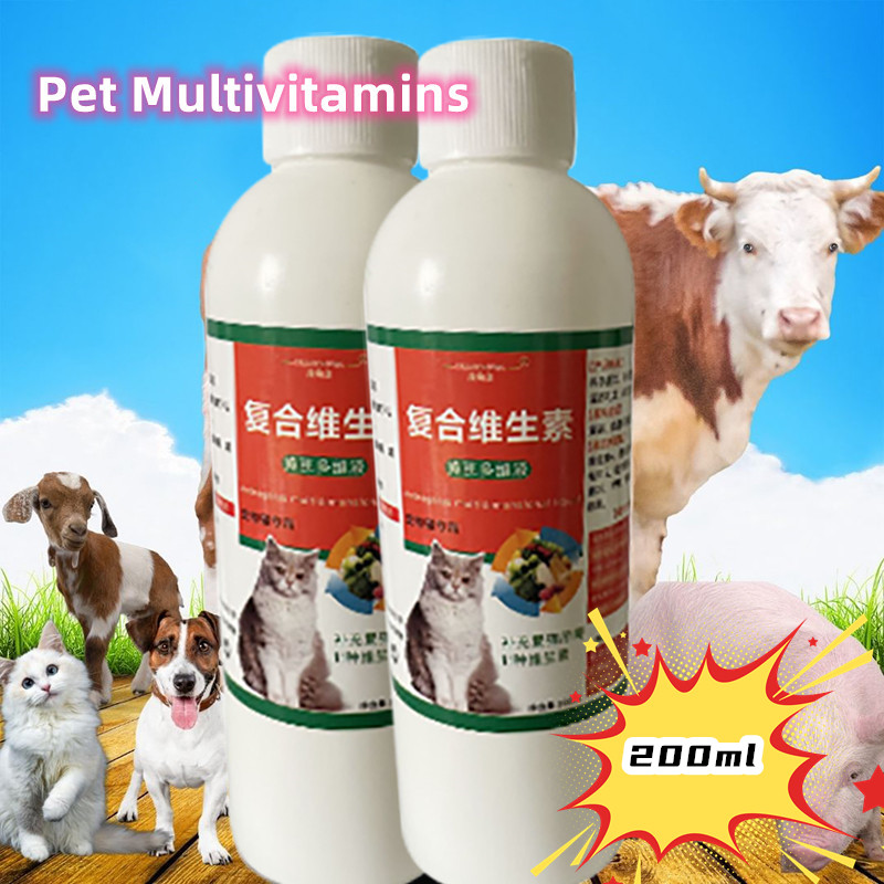 Vitamins For Dogs Multivitamins Syrup for Pets Cats Supplement Dog ...