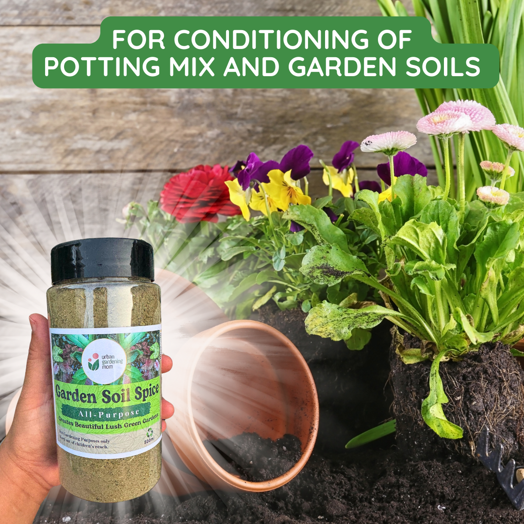 THE URBAN GARDENING SHOP All Purpose Garden Soil Spice - All Natural ...
