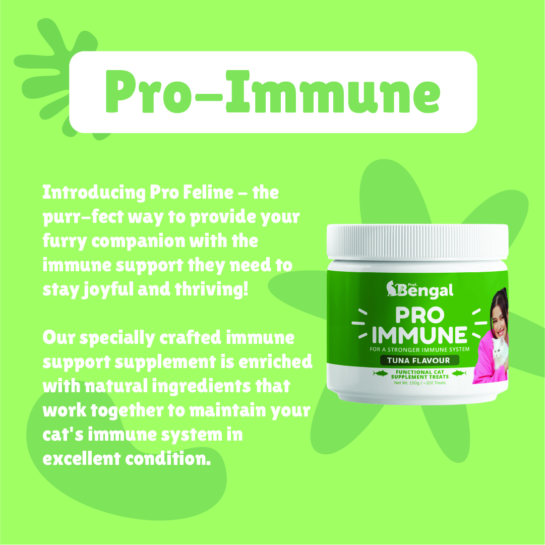 Prof Bengal Pro Immune - Immunity-Boosting Cat Treats & Snacks ...