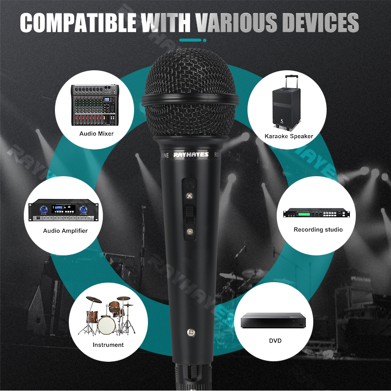 RAYHAYES RD-118 High-End Dynamic Wired Microphone For Videoke | Shopee Philippines