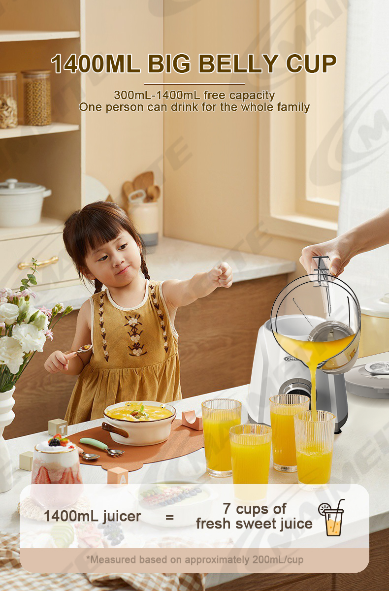 MAIMEITE 3 in 1 blender Chopper meat grinder blender for shake High ...