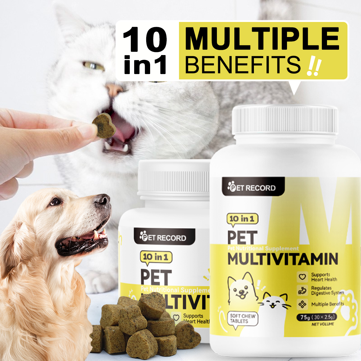 PET RECORD Pet 10 in 1 Multivitamins Supplement for Dogs and Cats ...