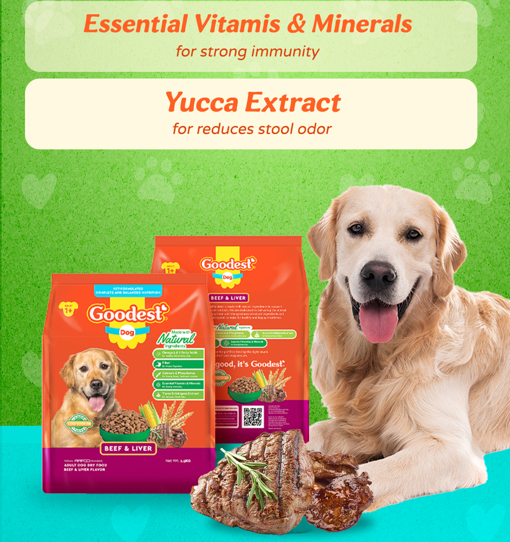 GOODEST Adult Dog Dry Food in Beef & Liver, 20kg. | Shopee Philippines