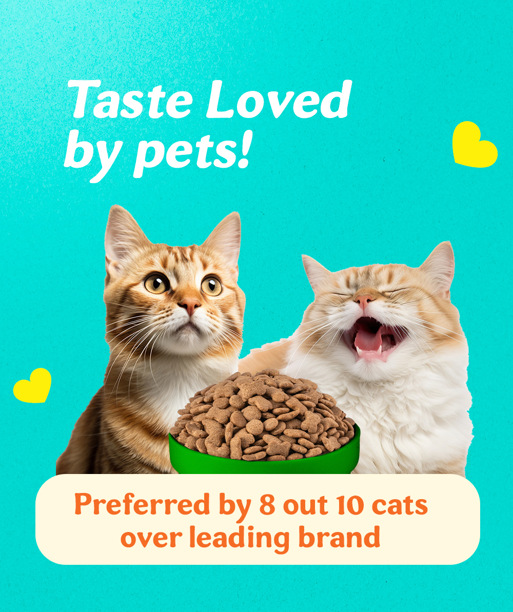 GOODEST Adult Cat Dry Food in Tasty Tuna, 1.2kg. | Shopee Philippines