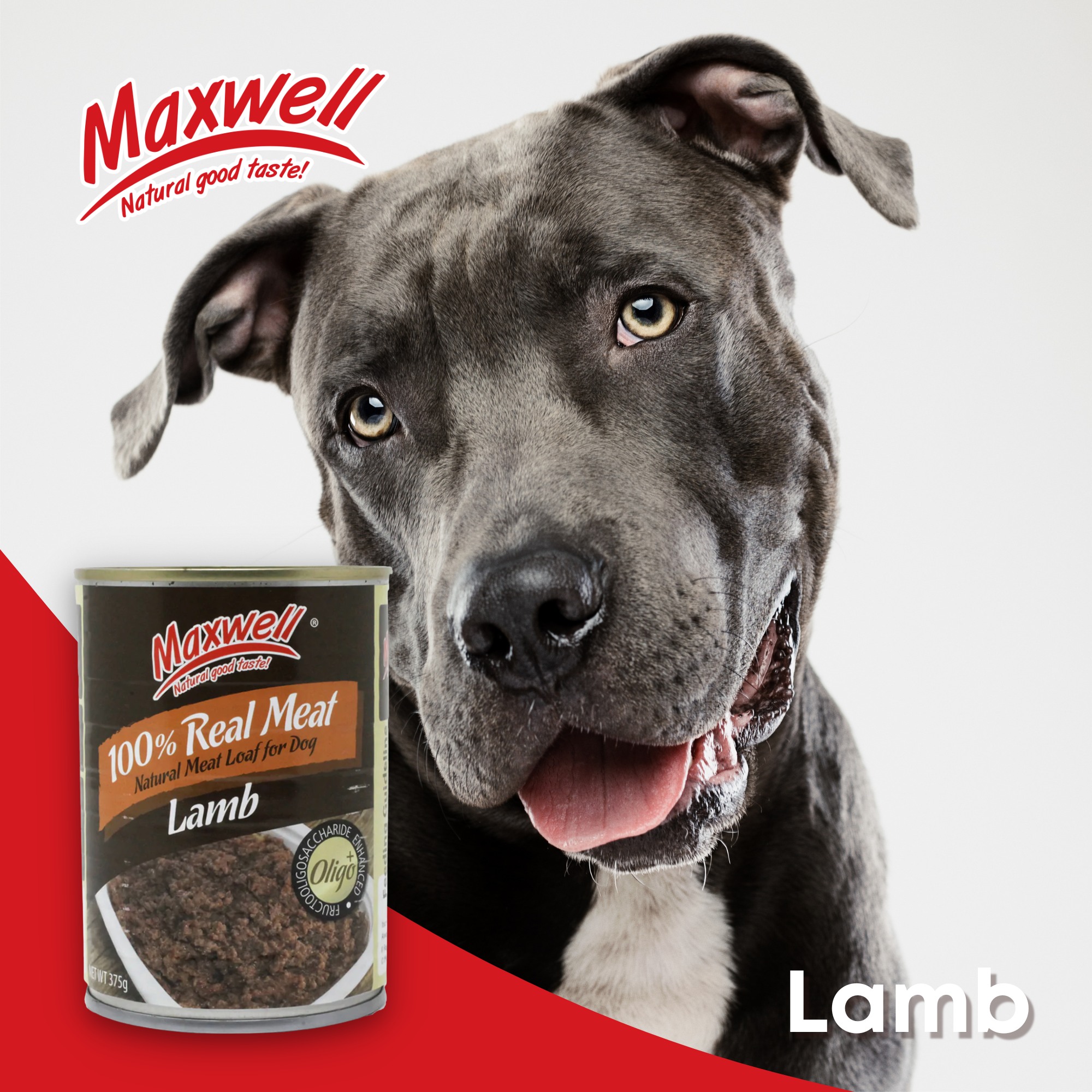 Maxwell Adult Dog Wet Food Can Lamb 375g BUNDLE OF 6 - PetMate healthy ...