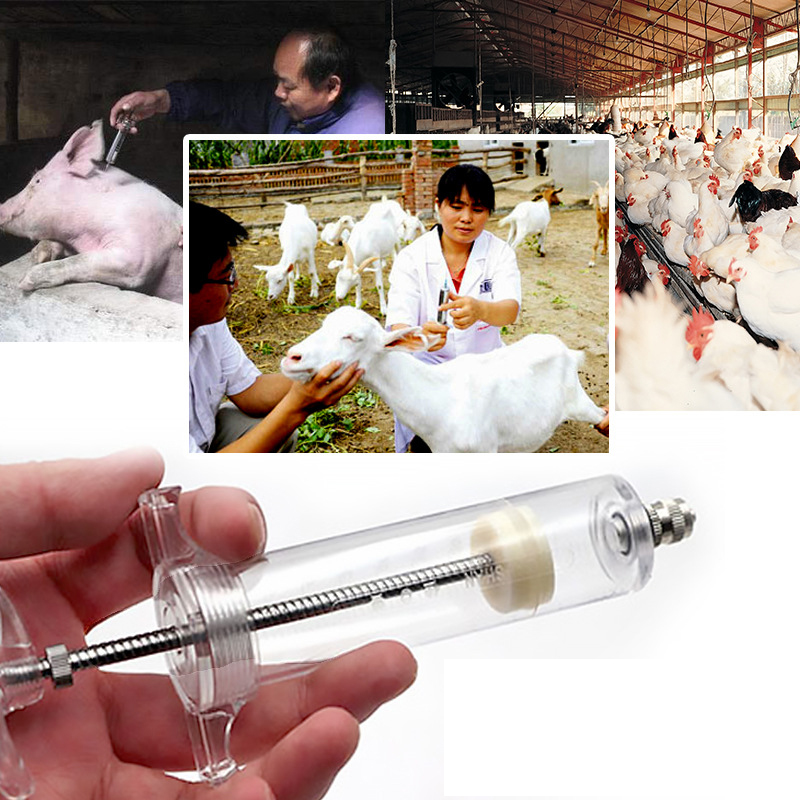 Fiberglass Syringe 20ml FREE 1 Dozen Needles Heavy Duty Hand Feeding ...