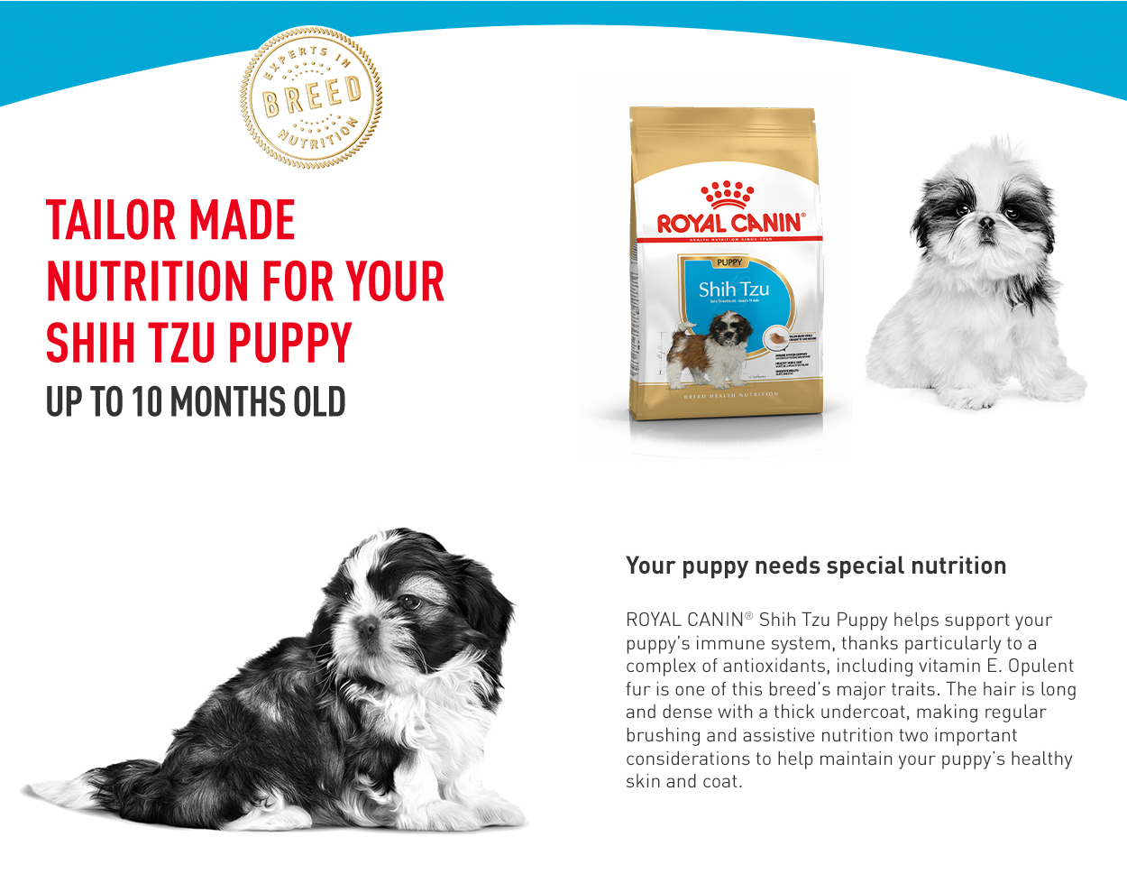 Royal Canin Shih Tzu Puppy 500g (FREE 1 RC Mini Puppy Wet 85g) Dry Dog ...