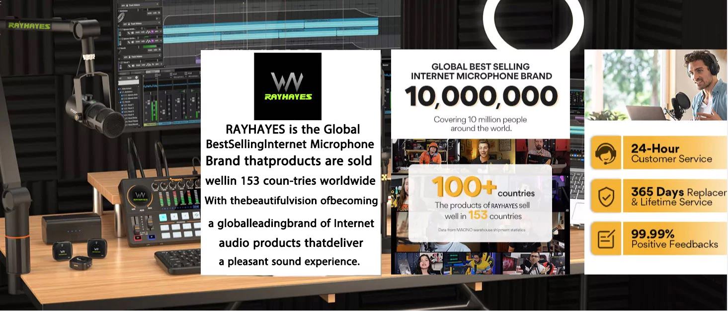 RAYHAYES Professional Wireless Microphone Rechargeable Dynamic ...