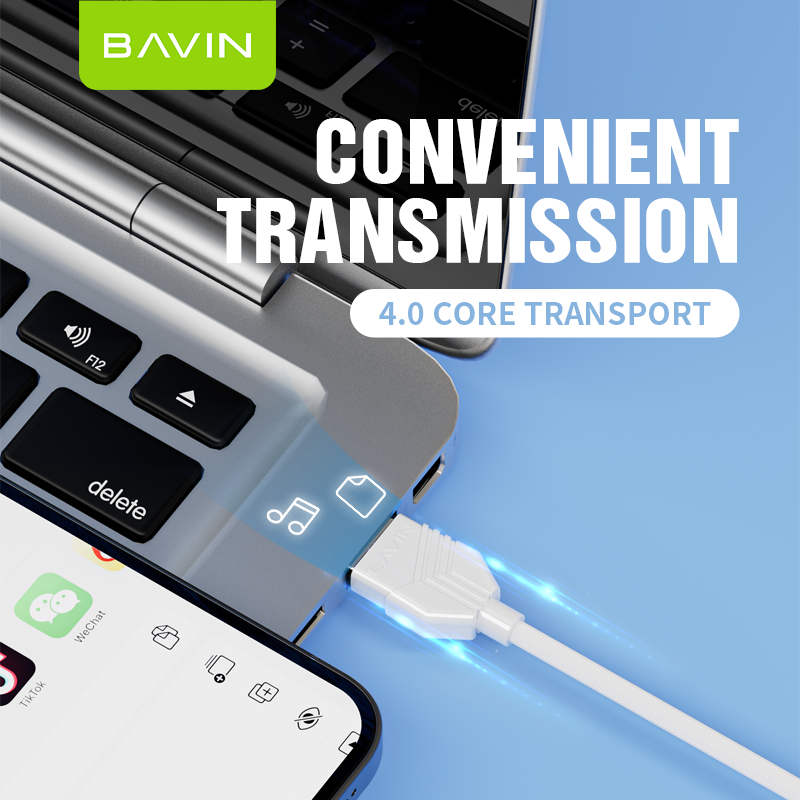 BAVIN CB161 2.4A Quick Charging Data Cable 1 Meter Wire for iPh and ...