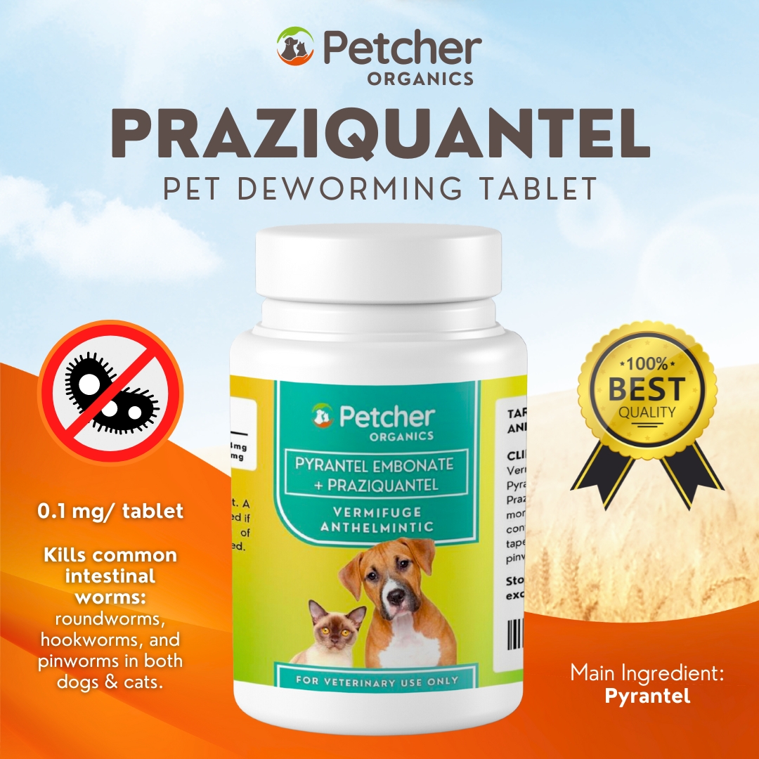 Petcher Organics Praziquantel Tablet 1pc for Dogs and Cats – Worm ...