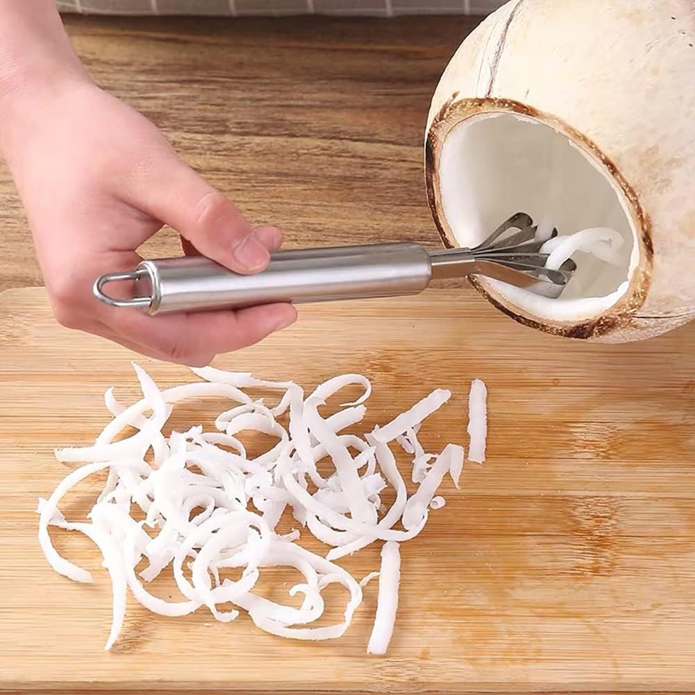 Stainless Steel Coconut Shredder Melon and Fruit Seed Remover Coconut ...