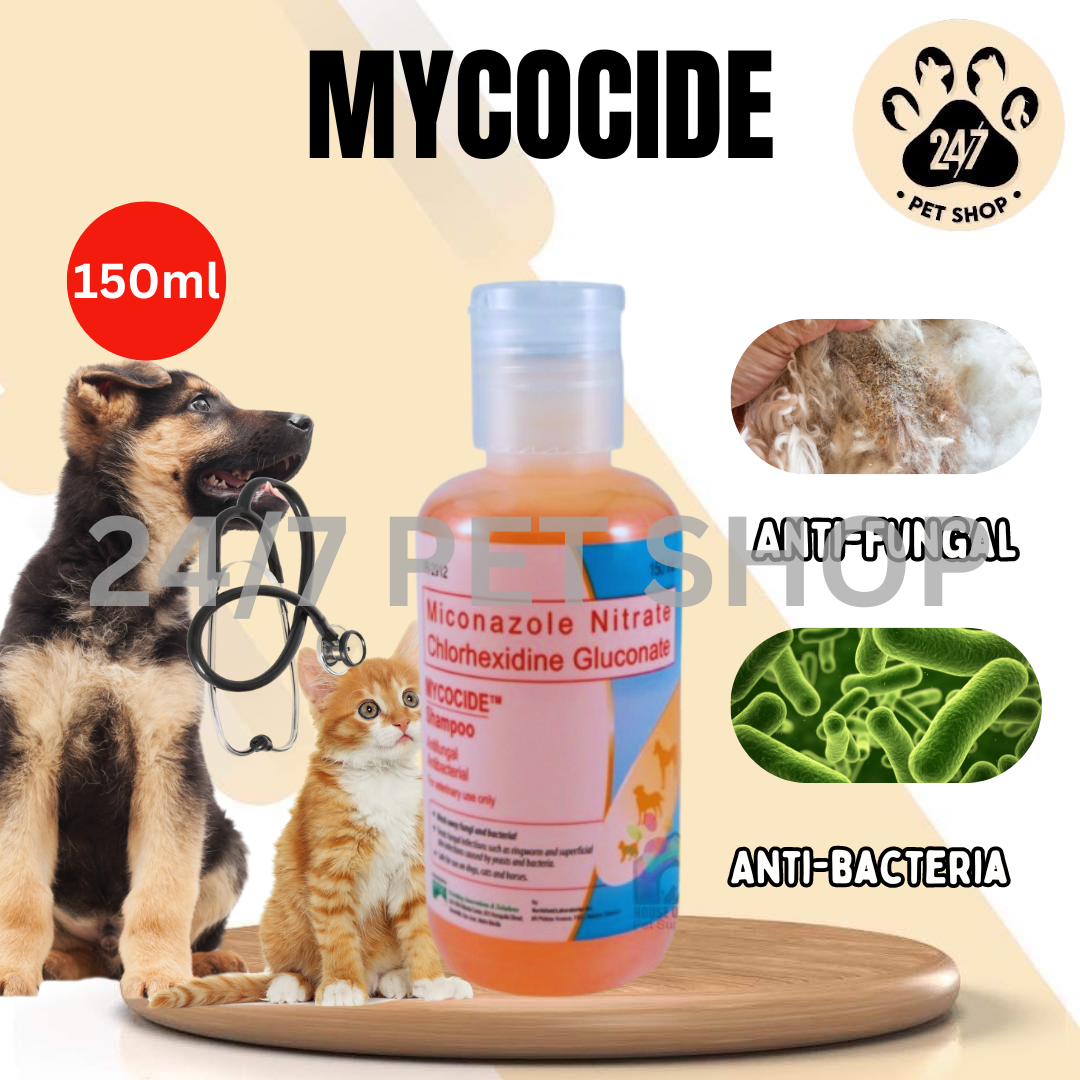 150ml Mycocide Pet Shampoo Antifungal Antibacterial Anti Fleas and tick ...