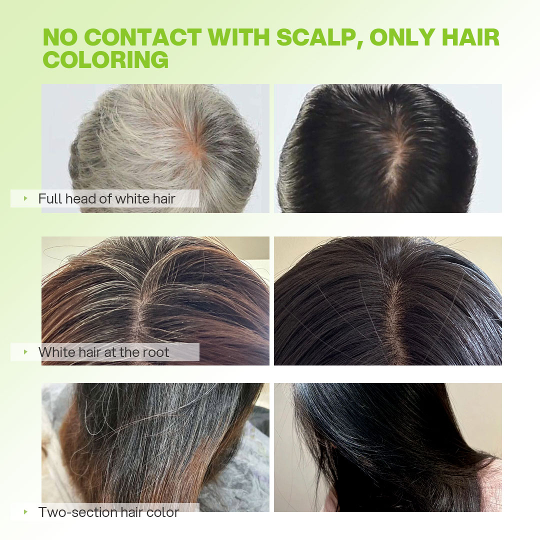 Ashley Shine Well Hair Hair Coloring Shampoo Black Hair Color White ...
